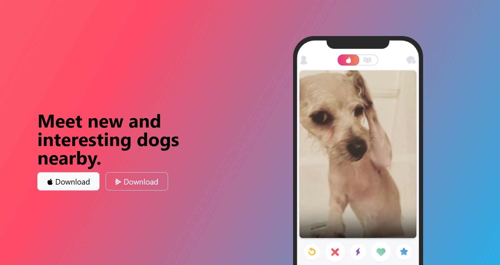 Portfolio - Rajashree